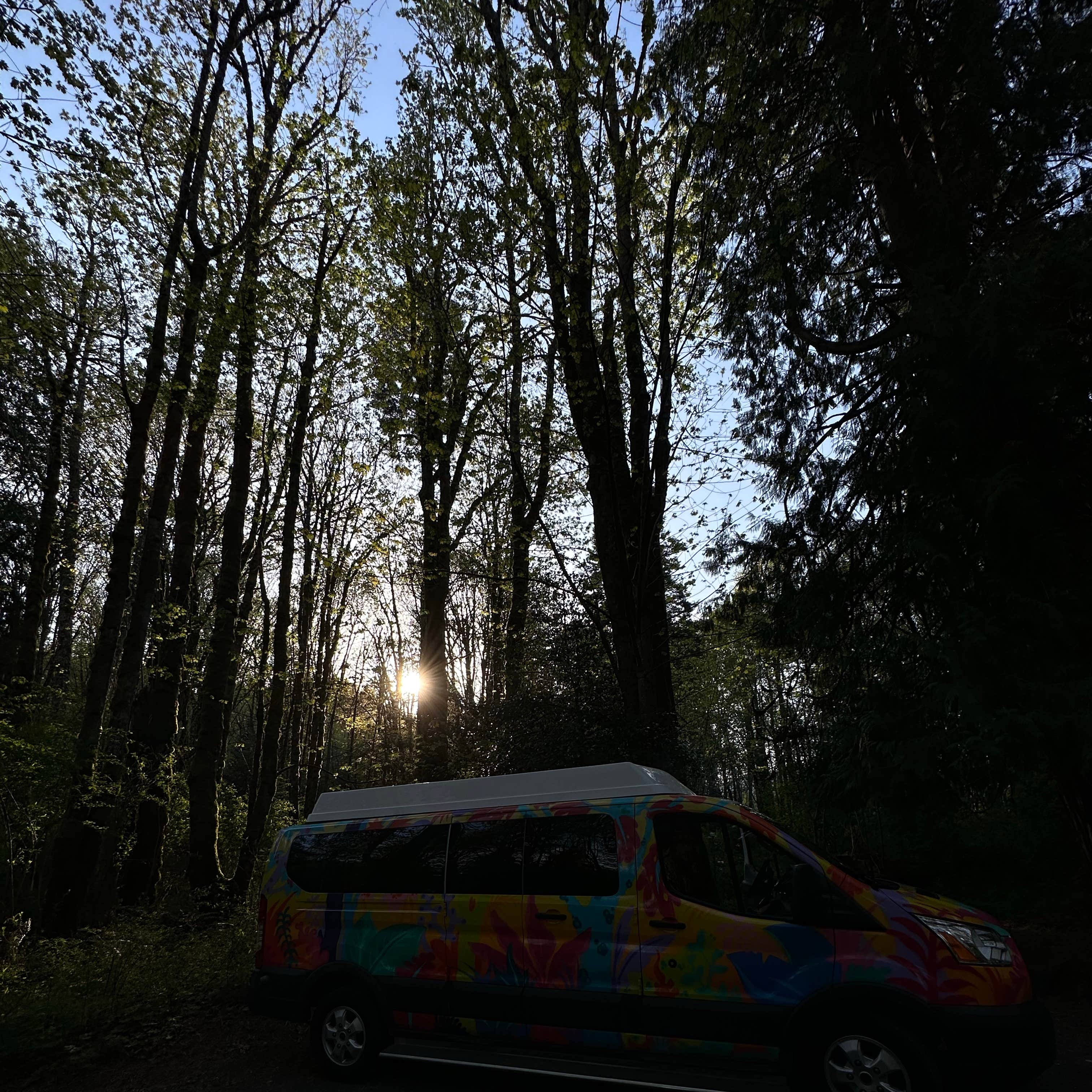 Dosewallips State Park Campground | Brinnon, Washington