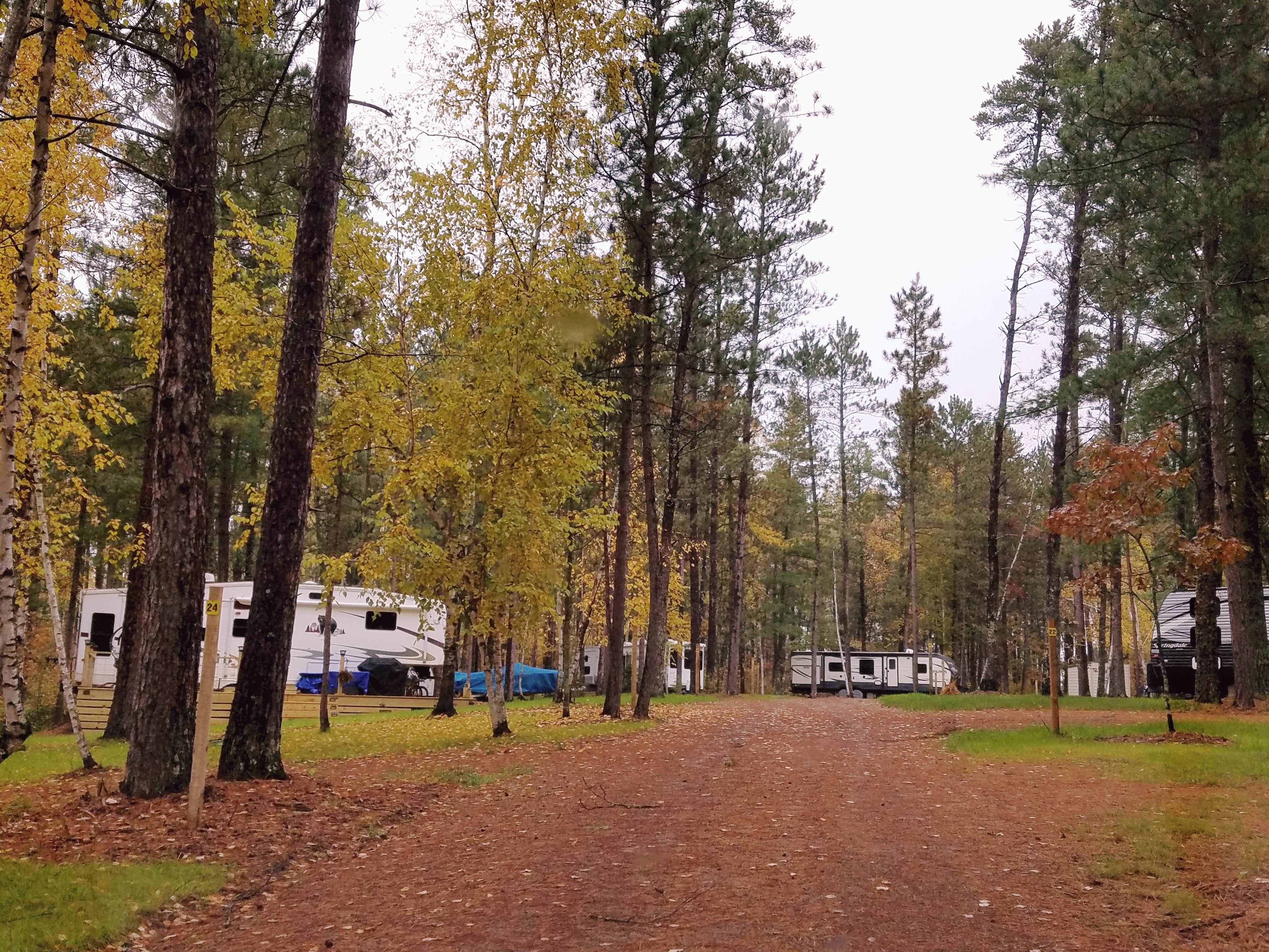 Paul Bunyan State Forest Mantrap Lake Campground | The Dyrt