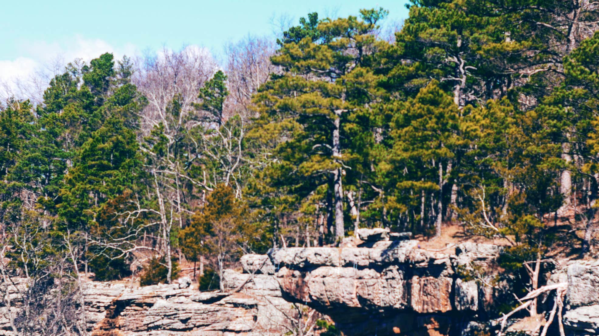 Horseshoe Canyon Ranch Camping | The Dyrt