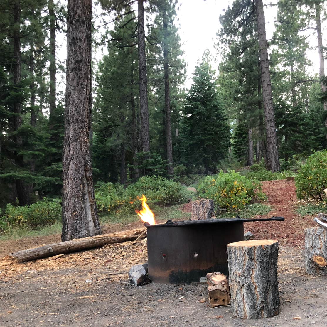 Lookout Campground Camping | The Dyrt