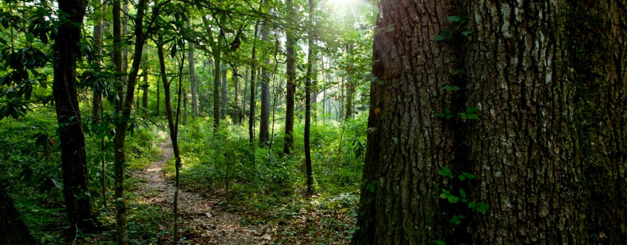 Umtanum Campground - Yakima River Canyon | Ellensburg, WA