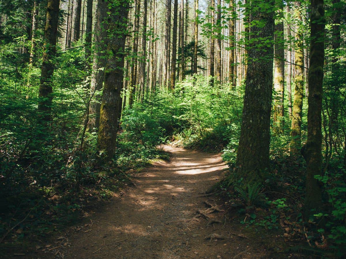 Umtanum Campground - Yakima River Canyon | Ellensburg, Washington