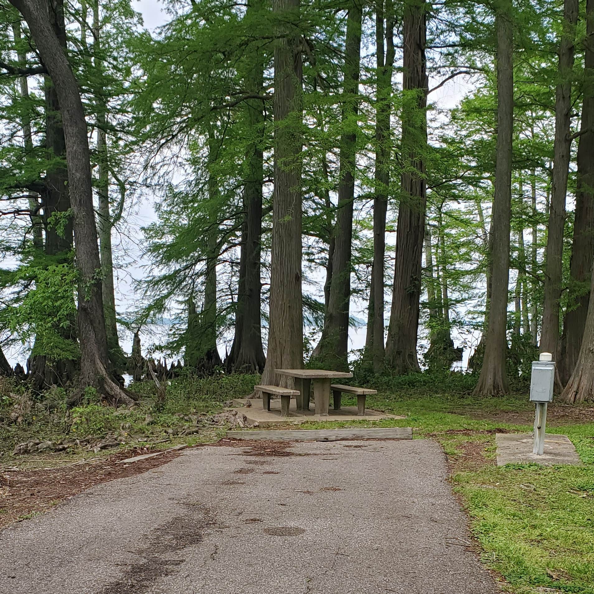 Reelfoot Lake State Park Campgrounds | Tiptonville, Tennessee