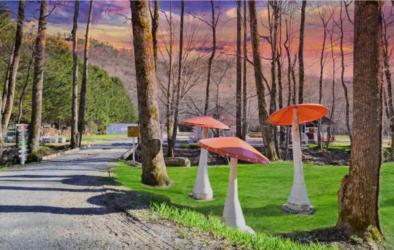 Magical Mountain Resorts, The Enchanted Forest Camping | Nantahala ...