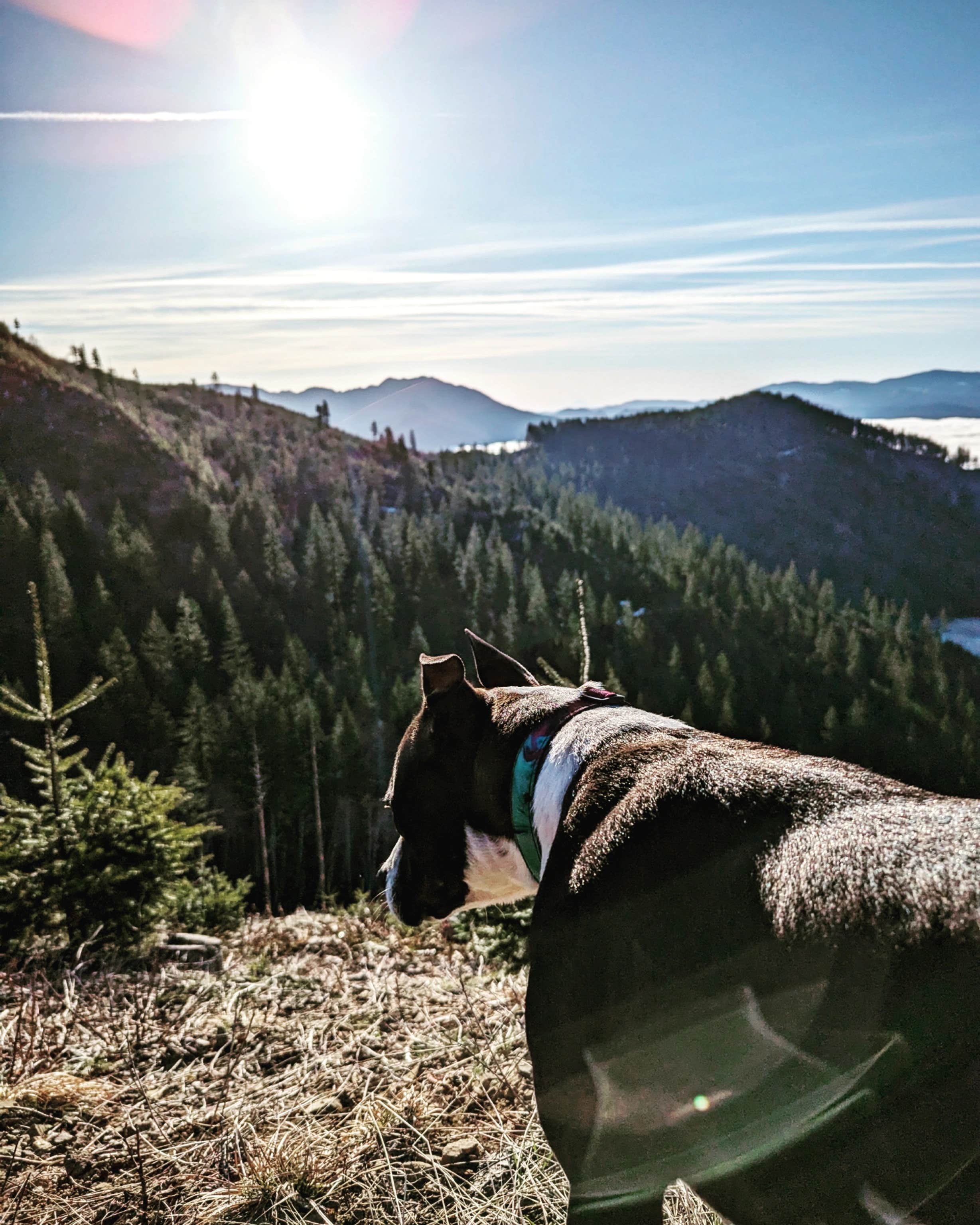 Tillamook State Forest Dispersed Camping | Tillamook State Forest, OR