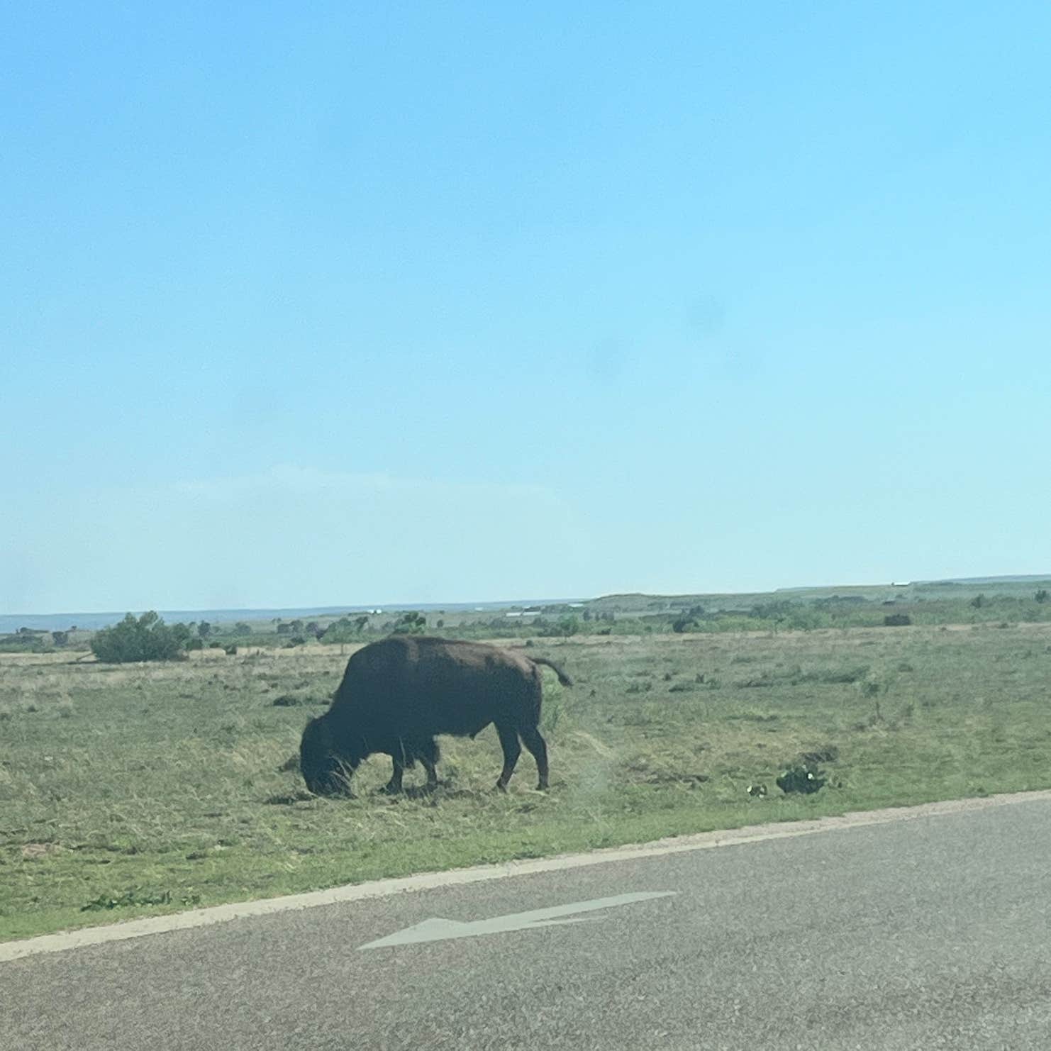 Lake Theo Tent Camping Area — Caprock Canyons State Park | Quitaque, TX