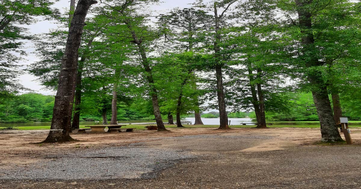 Point A Park RV & Campground | Andalusia, Alabama