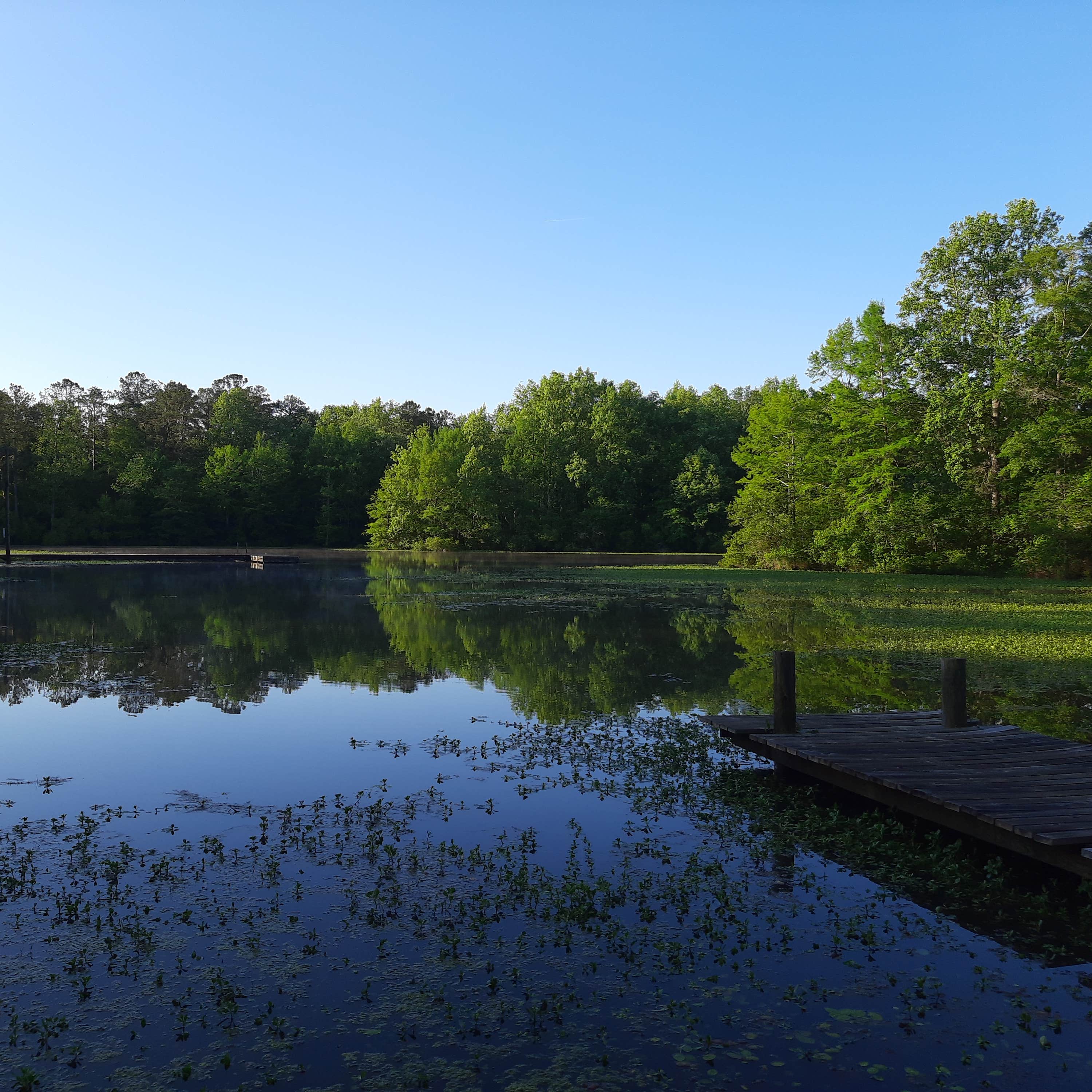 Point A Park RV & Campground Camping | The Dyrt