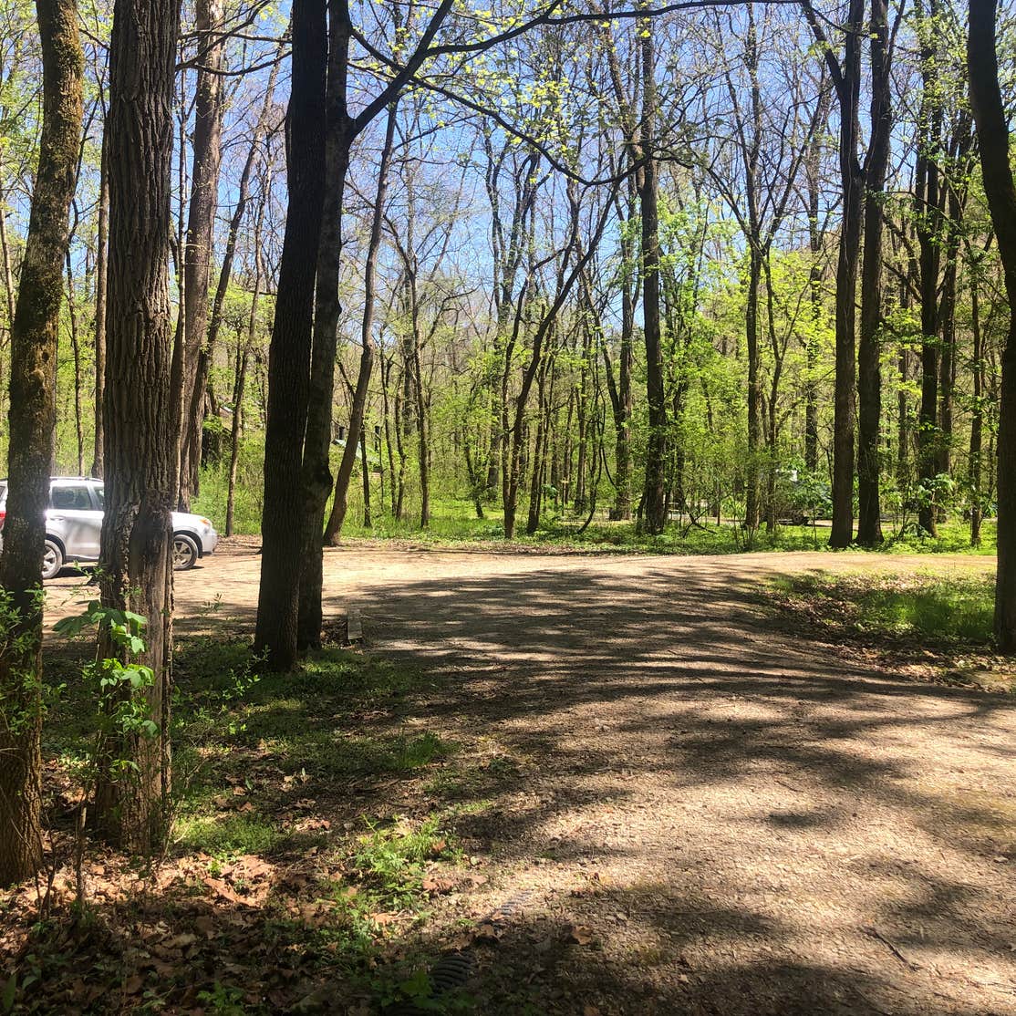 Grandview Sandbar Campground — New River Gorge National Park and ...
