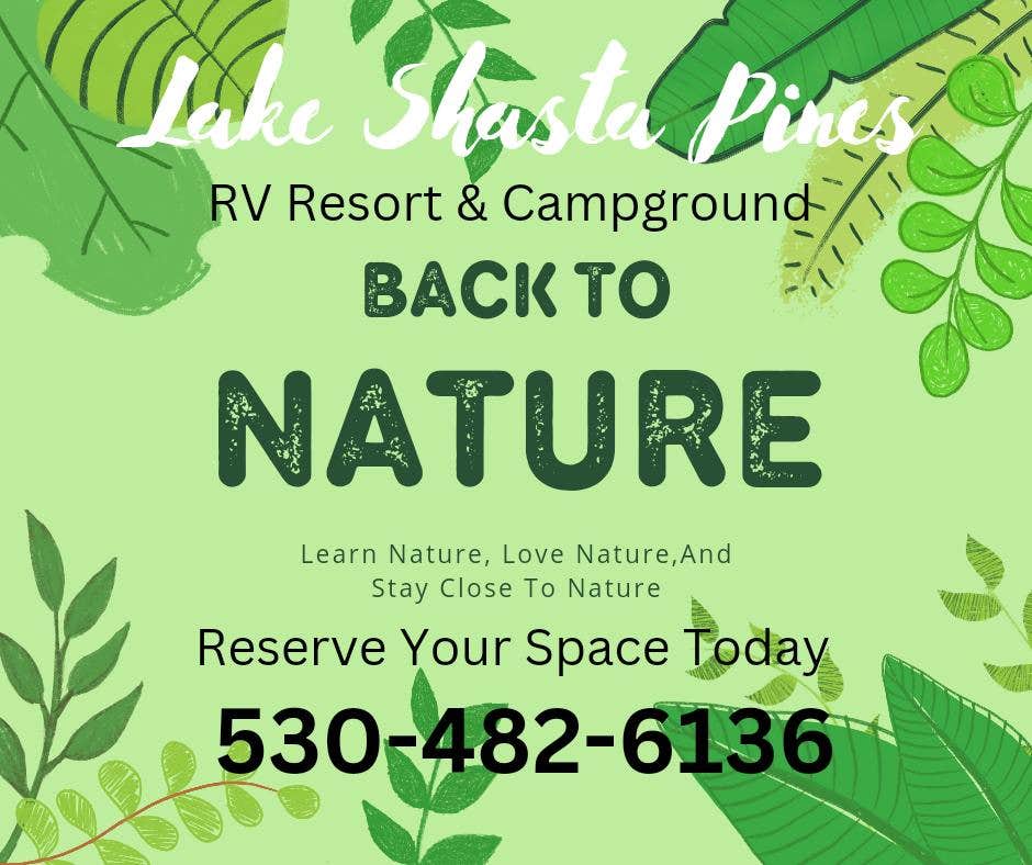 Lake Shasta Pines RV Resort and Campground | Sugarloaf, California