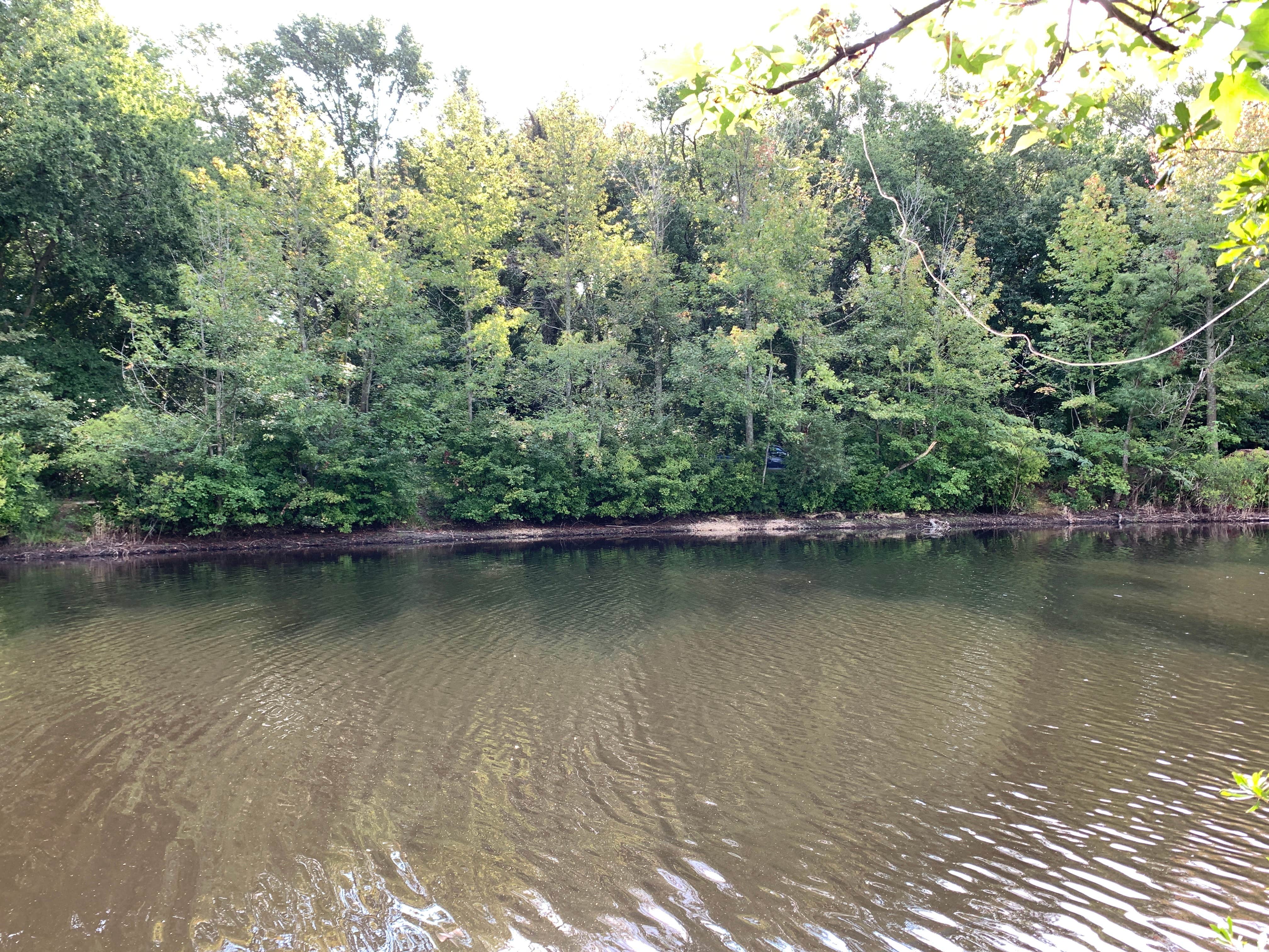 Big Timber Lake RV Camping Resort | Cape May Court House, NJ