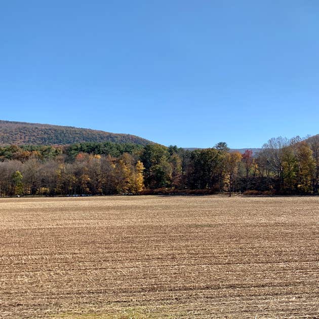 Lost River Campground | Mathias, West Virginia