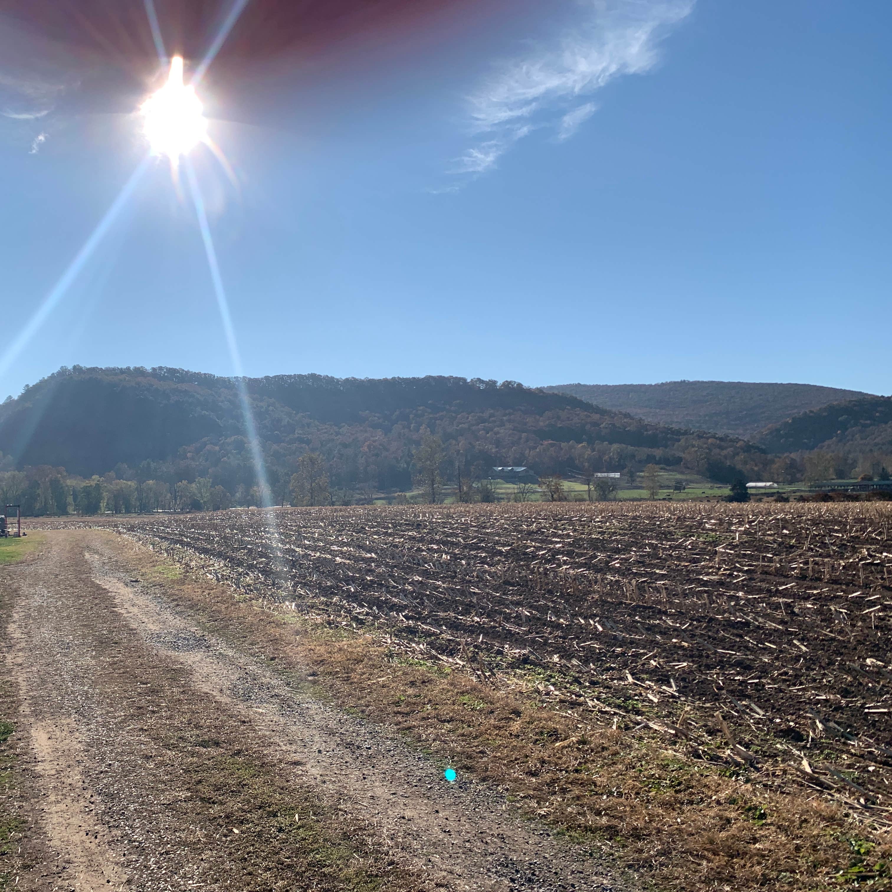 Lost River Campground Camping | The Dyrt