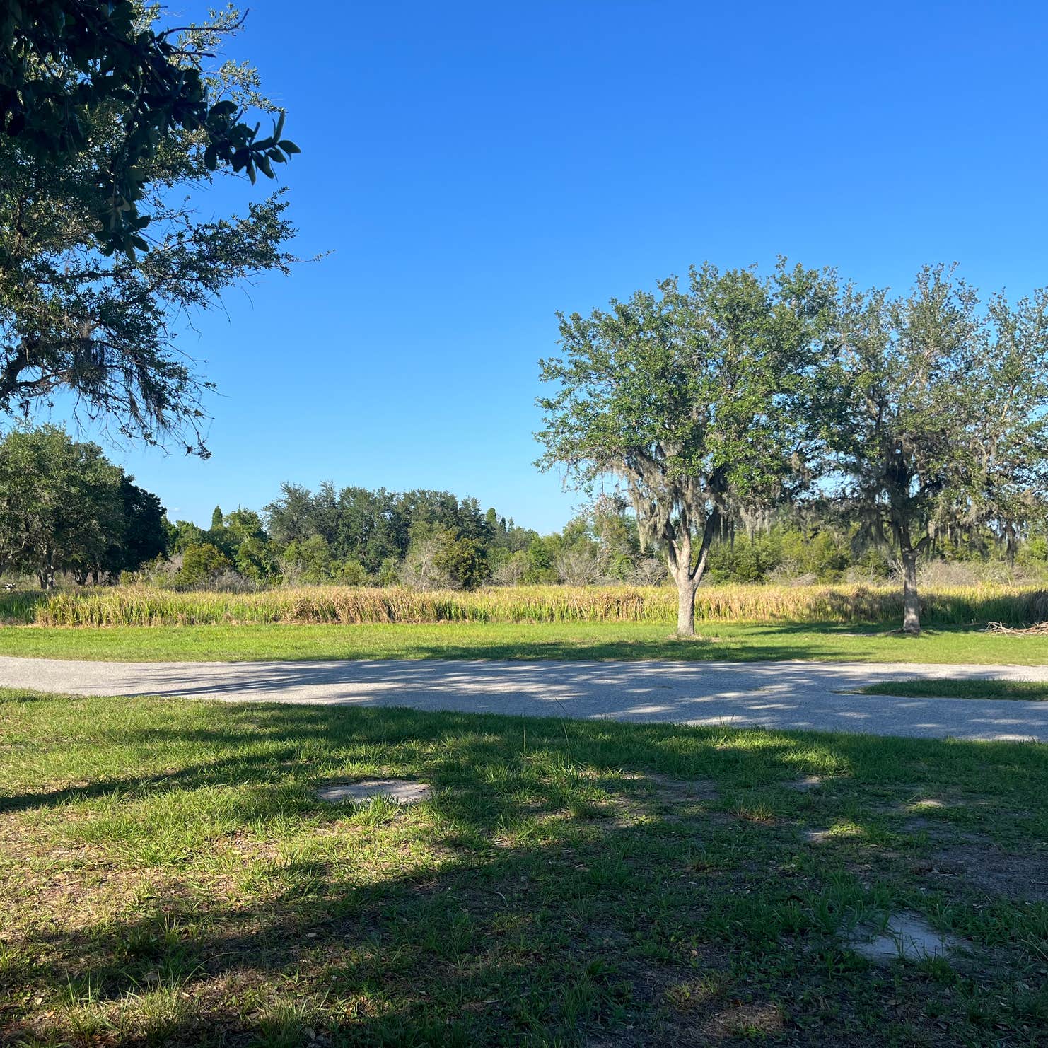 Alafia River State Park Campground | Lithia, FL