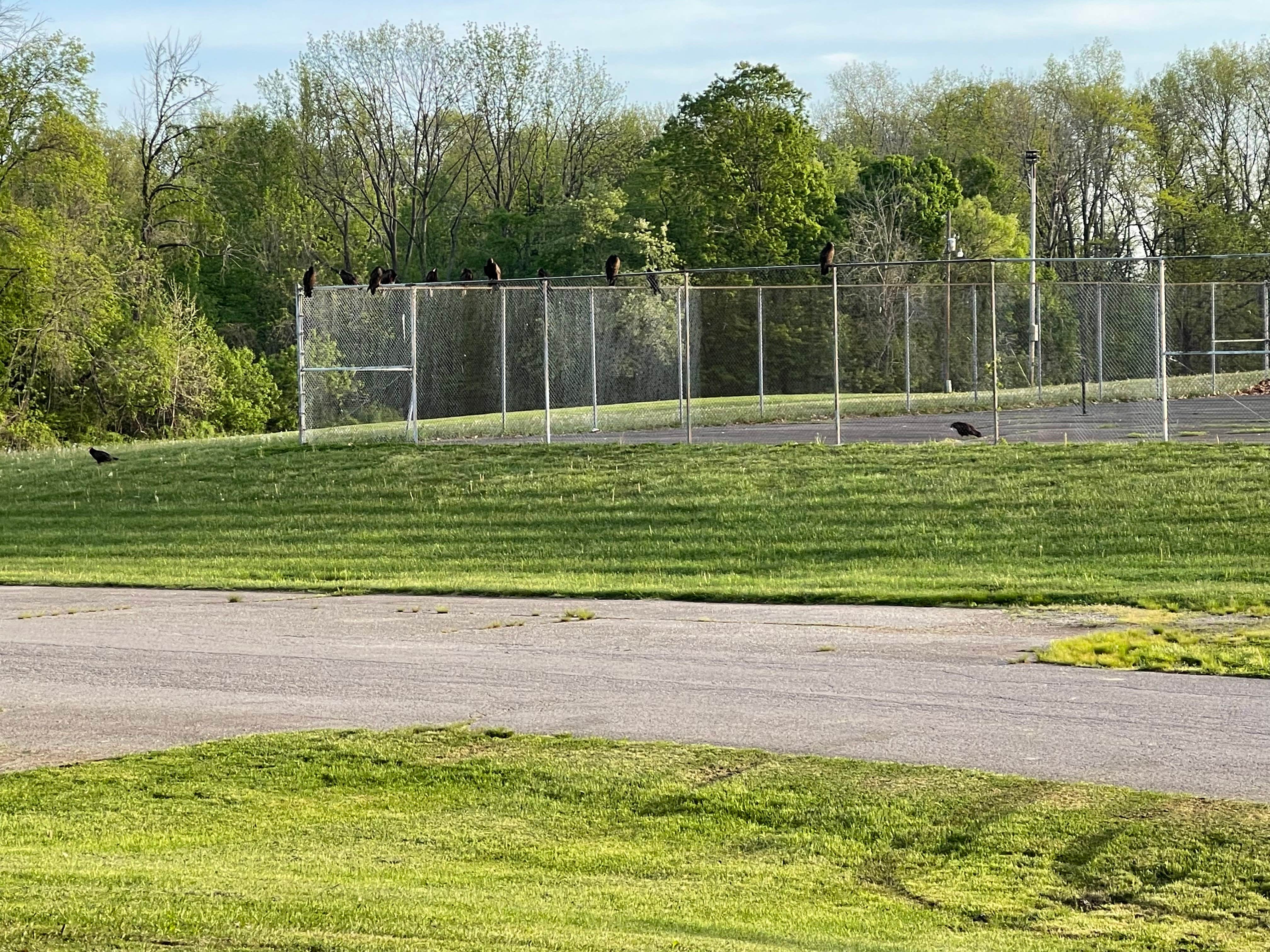 Lake Waveland Park Camping | Waveland, IN