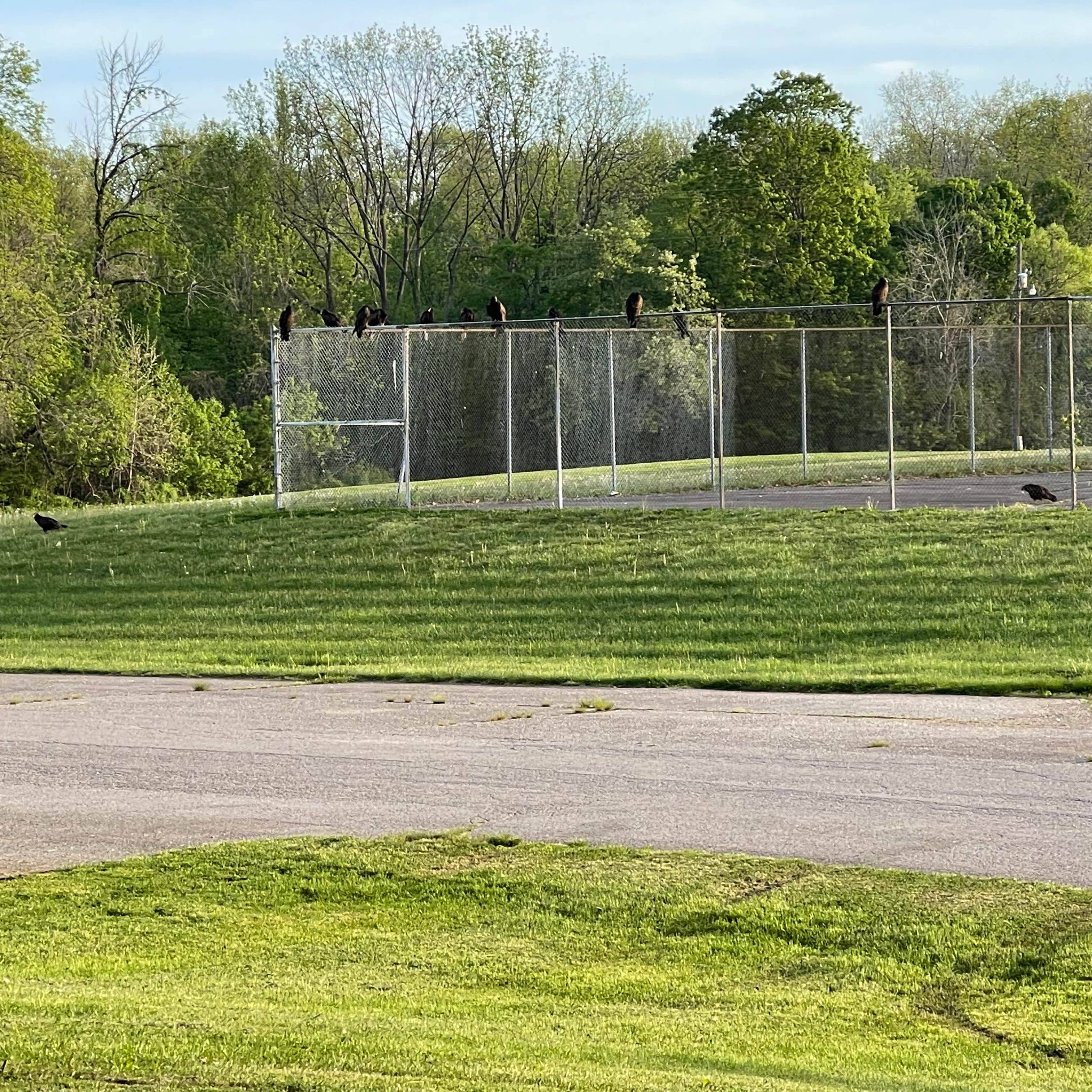 Lake Waveland Park Camping | Waveland, Indiana