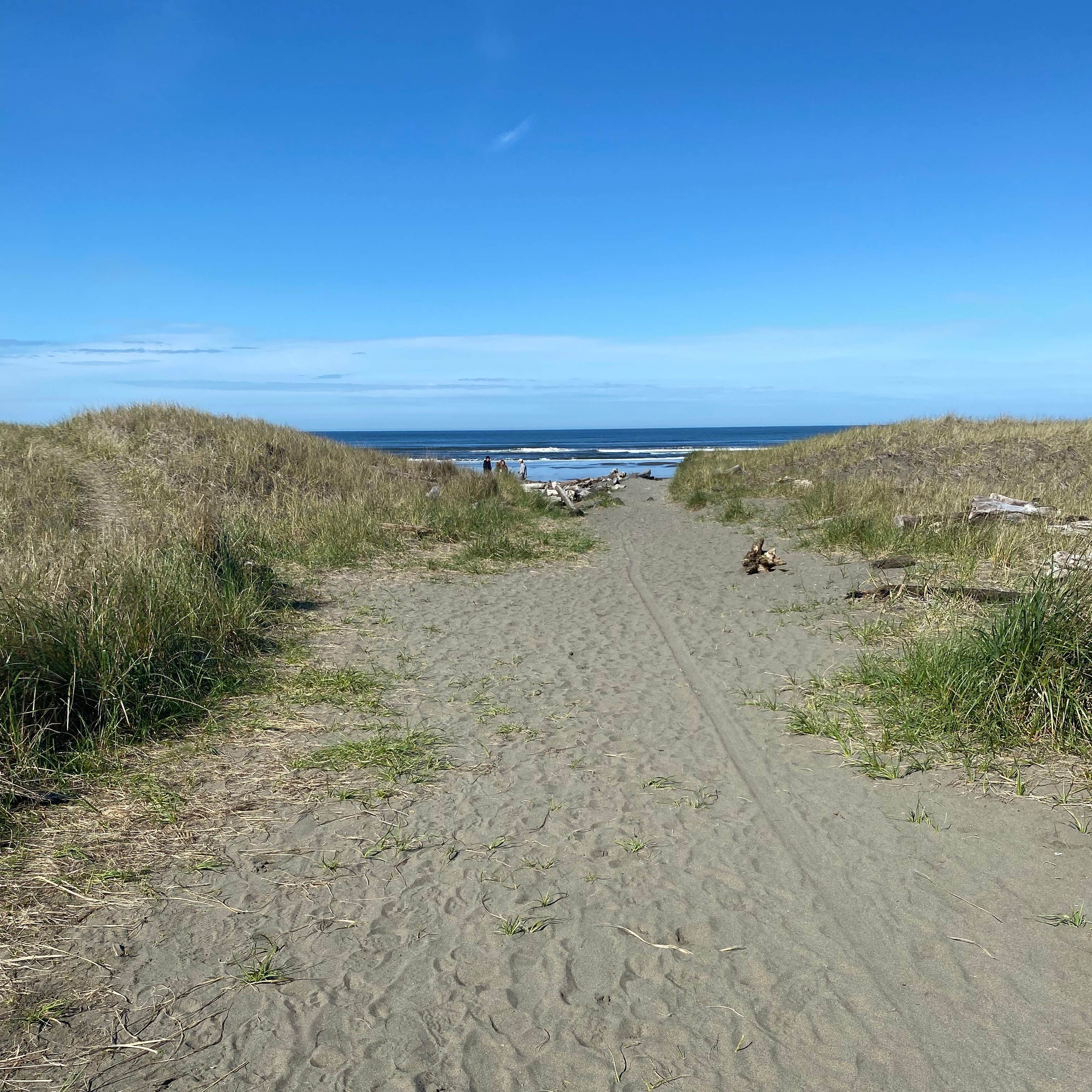 Grayland Beach State Park Campground | Westport, Washington