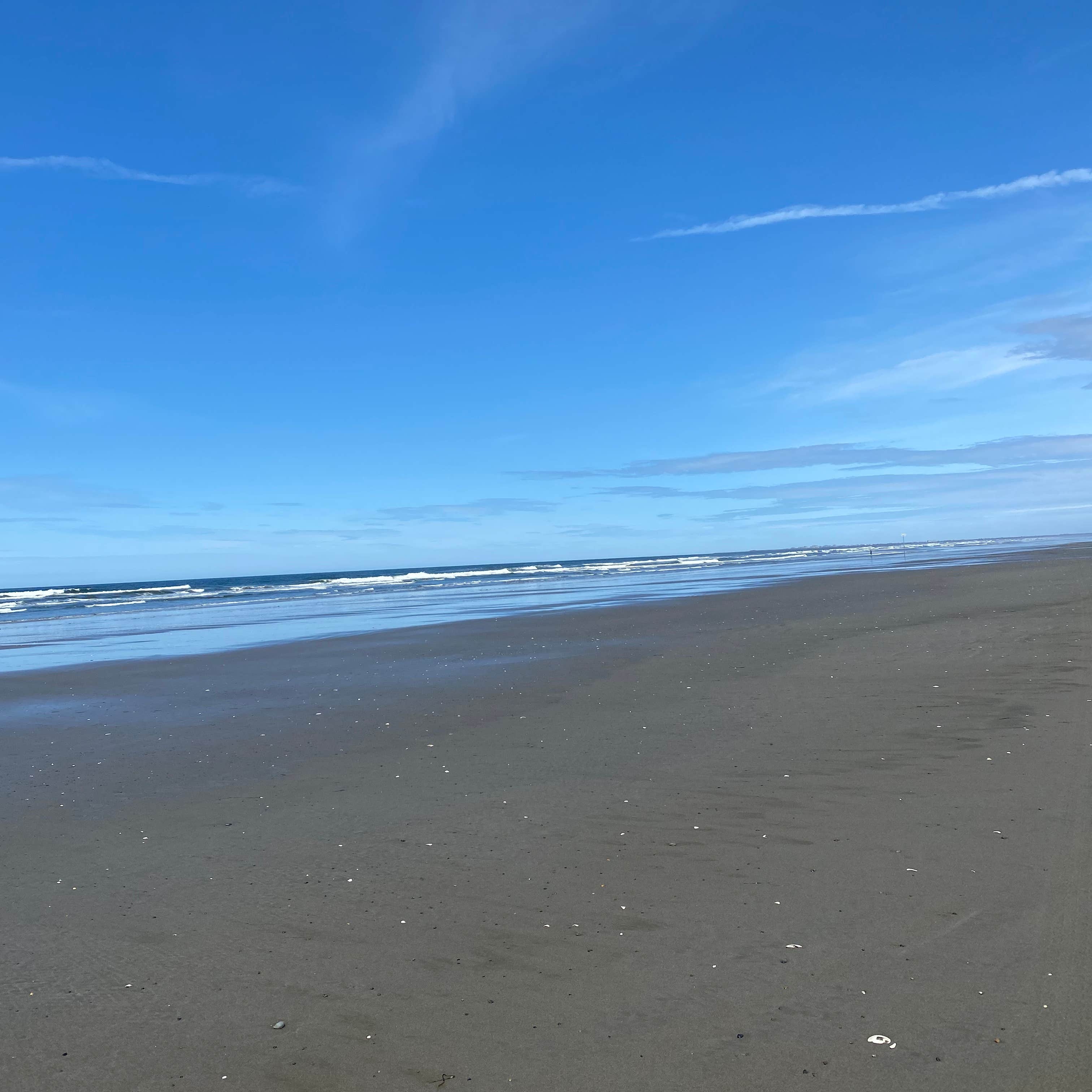 Grayland Beach State Park Campground | Westport, Washington
