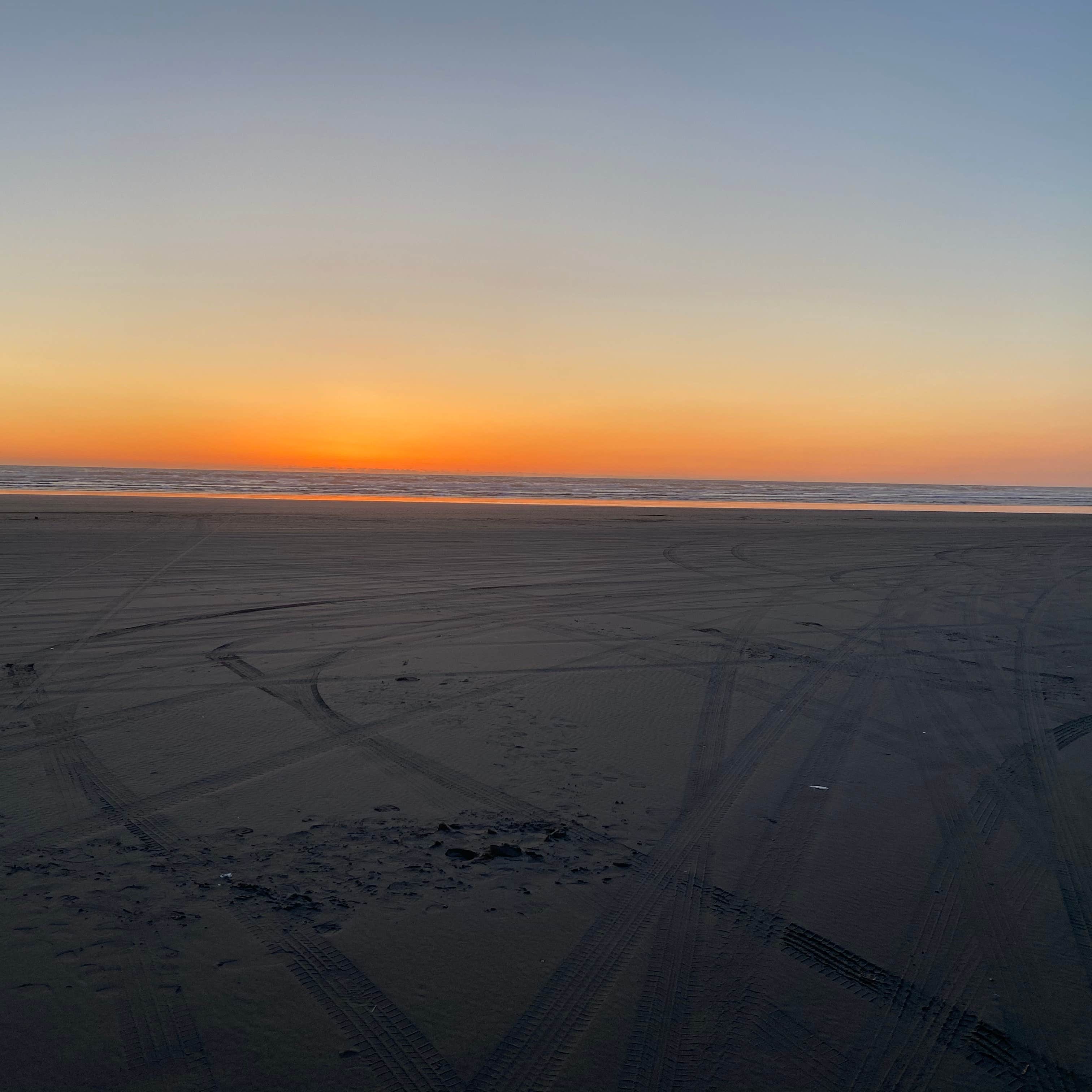 Grayland Beach State Park Campground | Westport, Washington