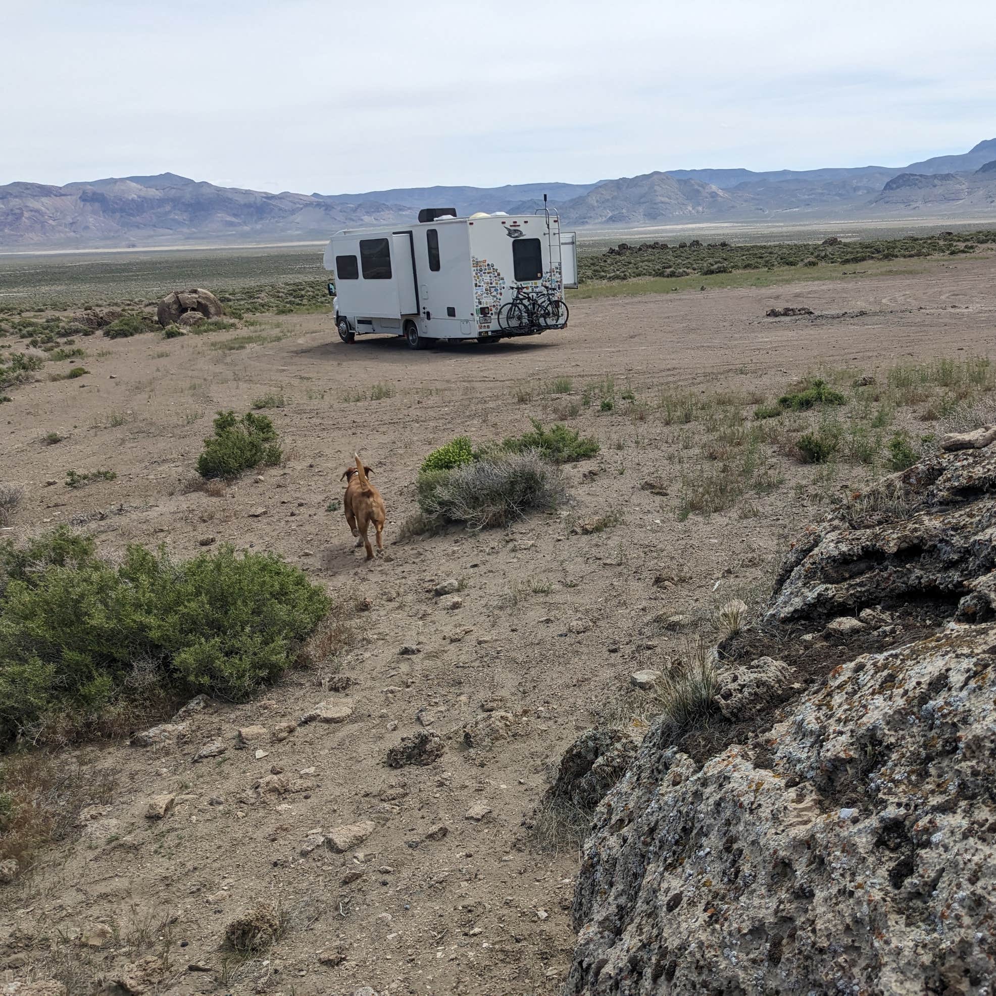 East of Pyramid Lake Camping | The Dyrt