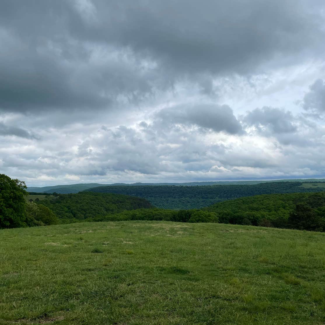 Wilderness Rider Buffalo Ranch and Adventure Park Camping | Kingston, AR