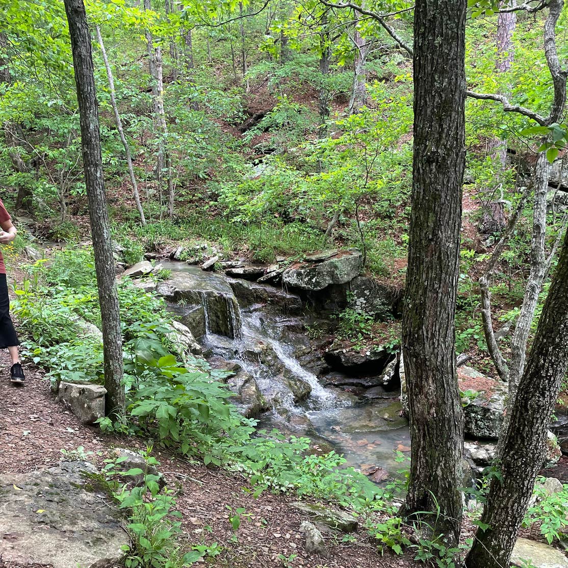 Wilderness Rider Buffalo Ranch and Adventure Park Camping | Kingston, AR