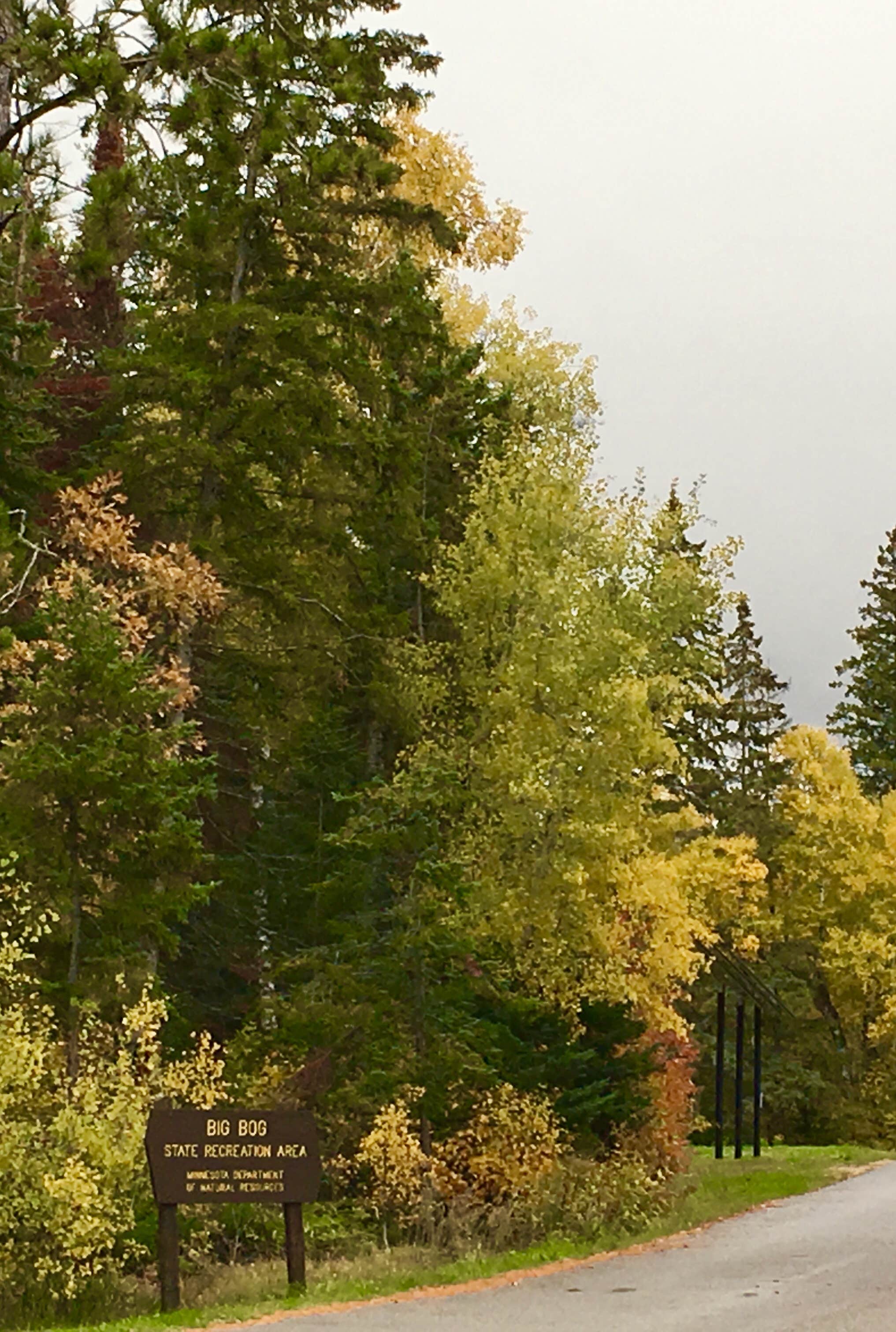 Big Bog State Recreation Area Campground | Blackduck, Minnesota