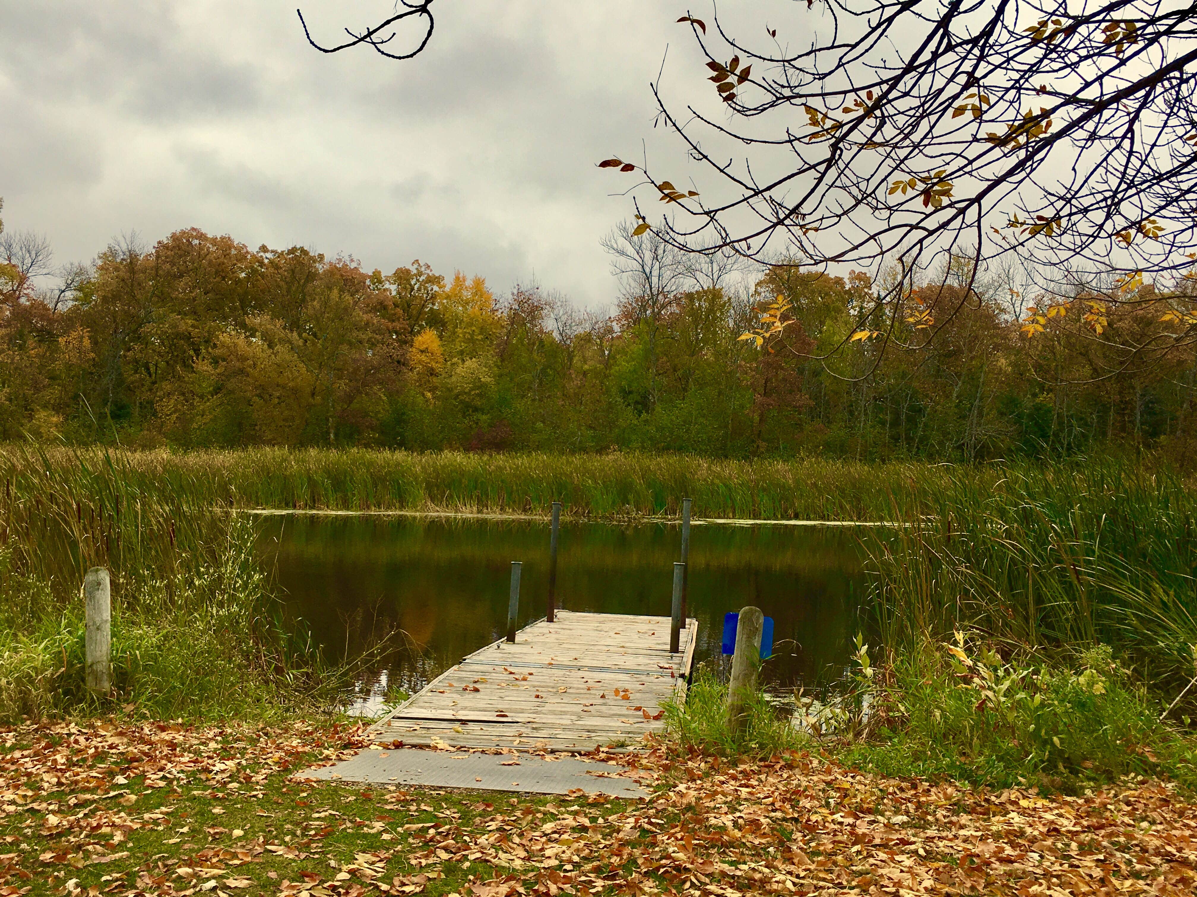 Big Bog State Recreation Area Camping | Blackduck, Minnesota