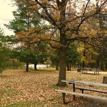 Big Bog State Rec Area Camping | The Dyrt