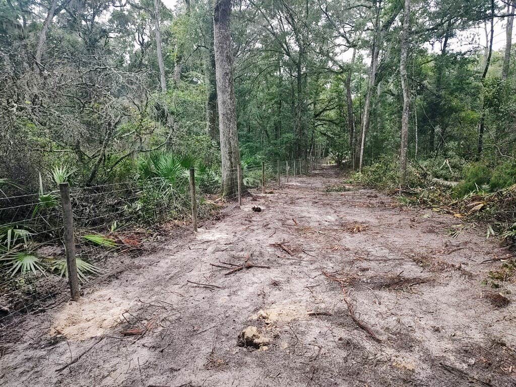 The ice cream bean fruit camp | Fanning Springs, FL