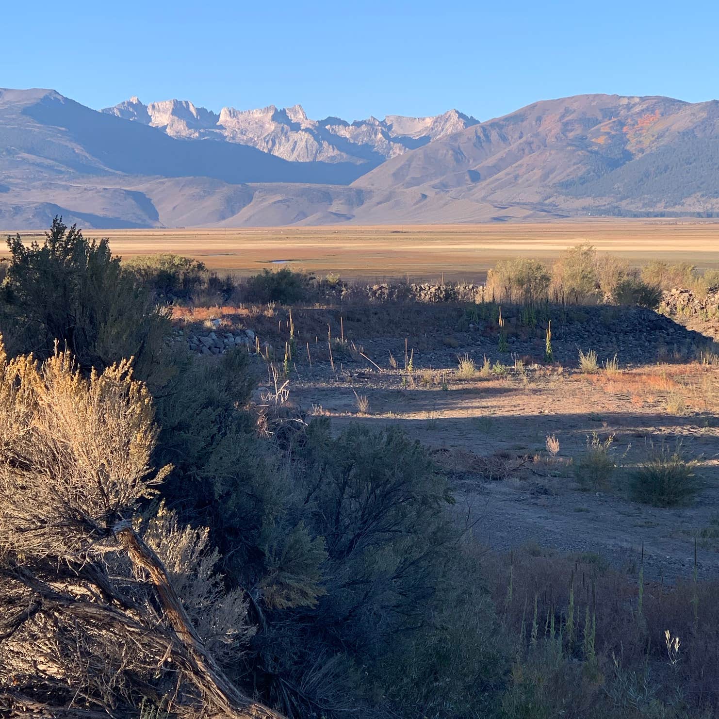 Bridgeport Marina RV Park | Pateros, Washington