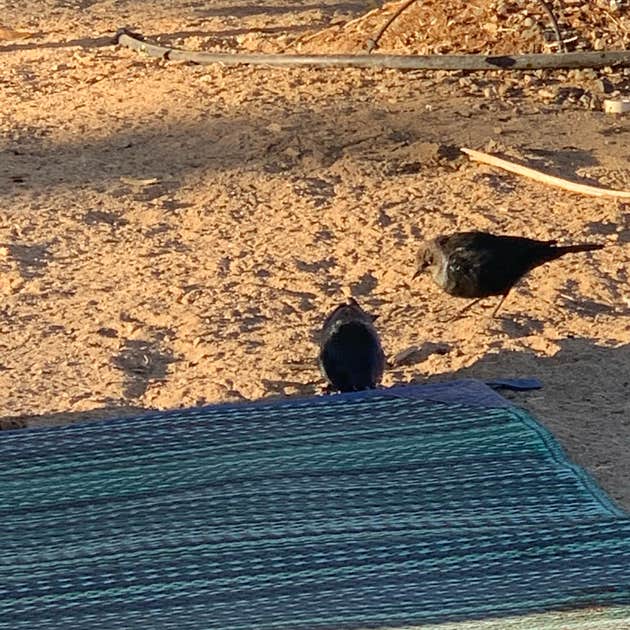 Bridgeport Marina RV Park | Pateros, Washington