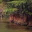 Copperhead Island Camping | Lake Wylie, South Carolina