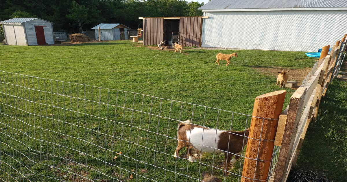 3b Goat Farms Camping | Monterey, Tennessee