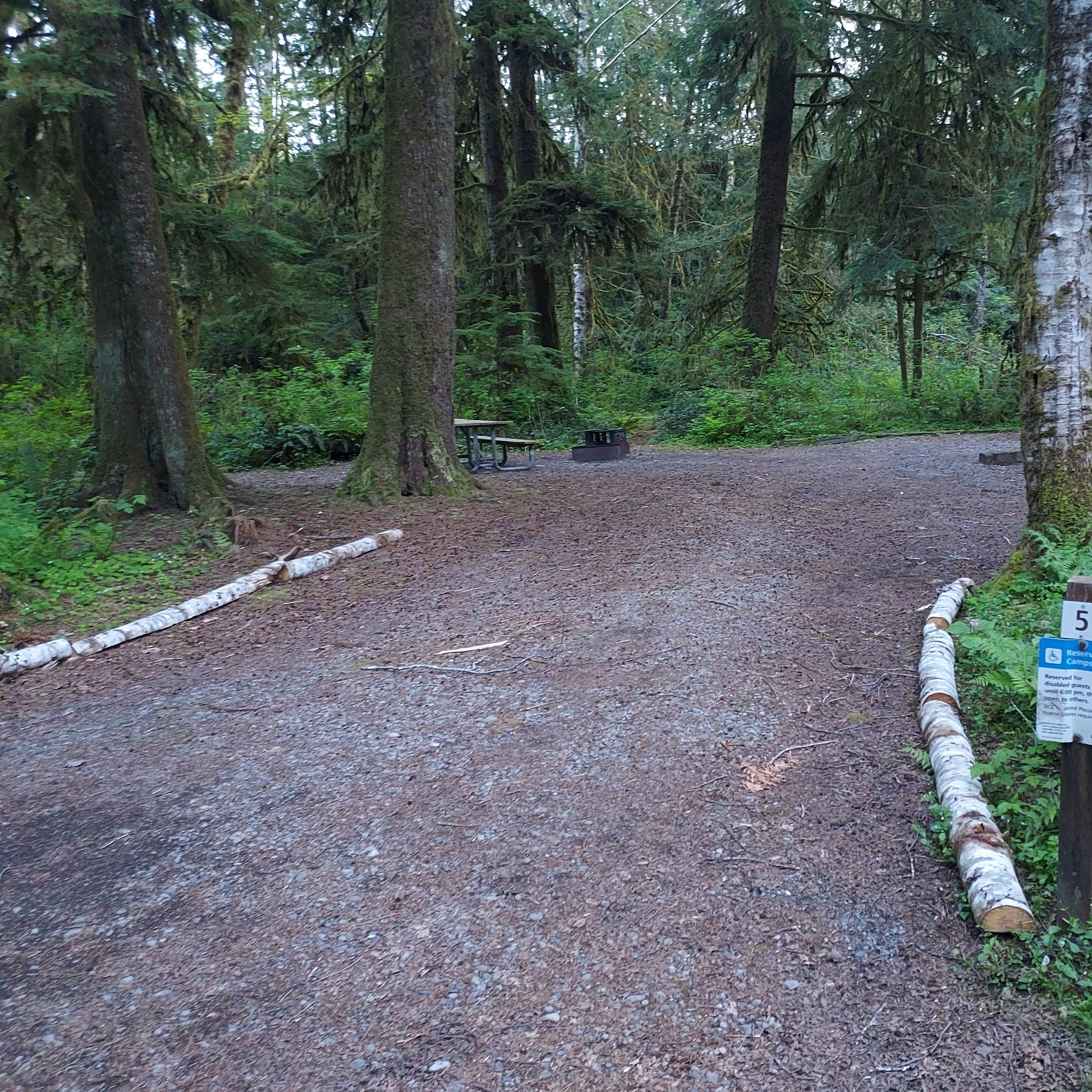 Hoh Oxbow Campground | Forks, WA