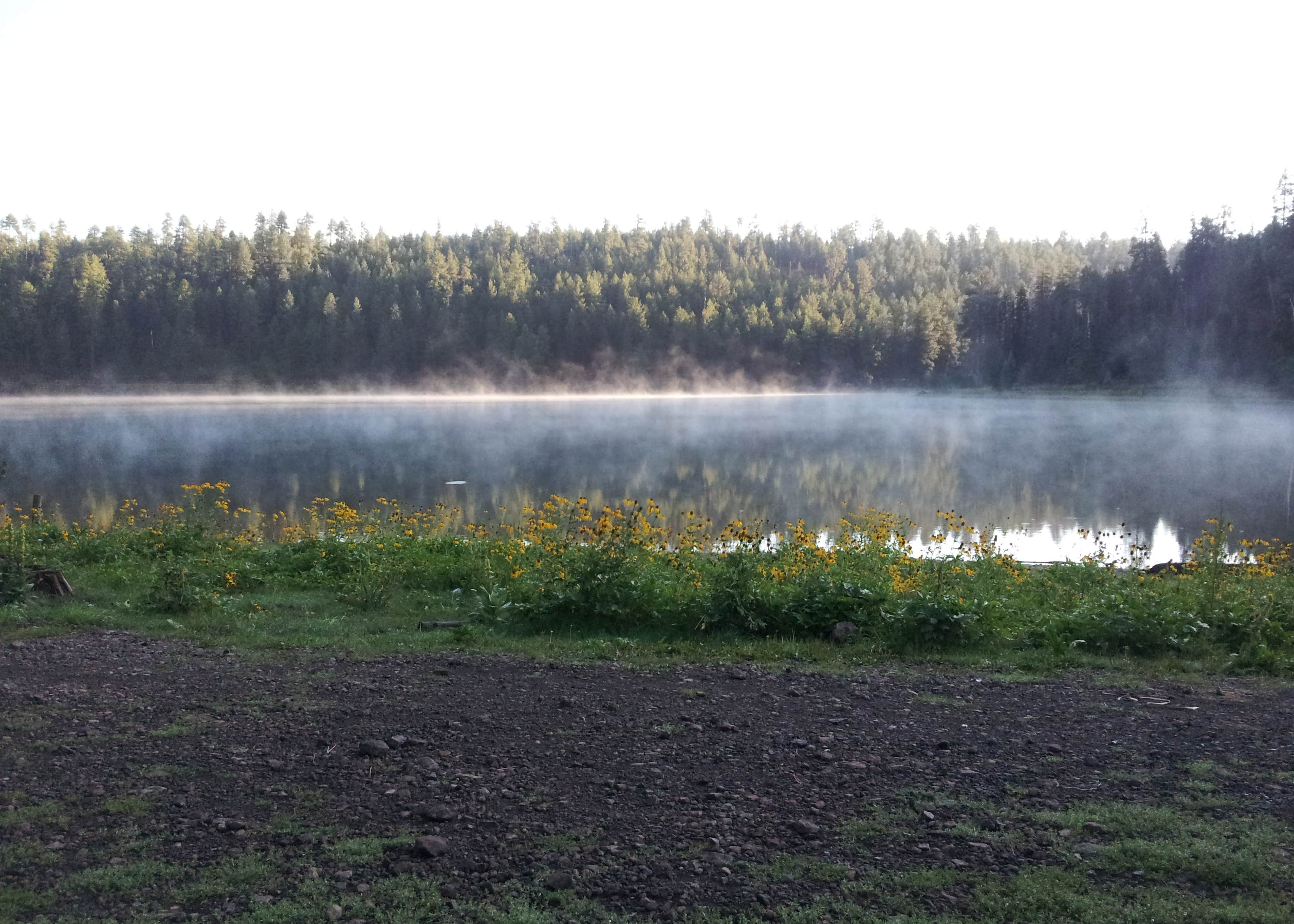 Cyclone Lake Campground Camping | The Dyrt