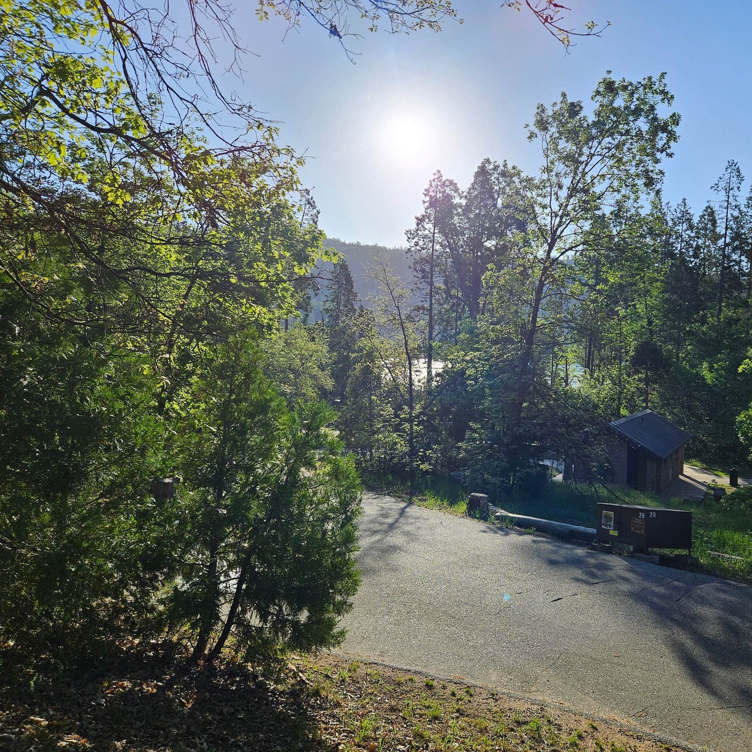 Spring Cove Campground | Wishon, California