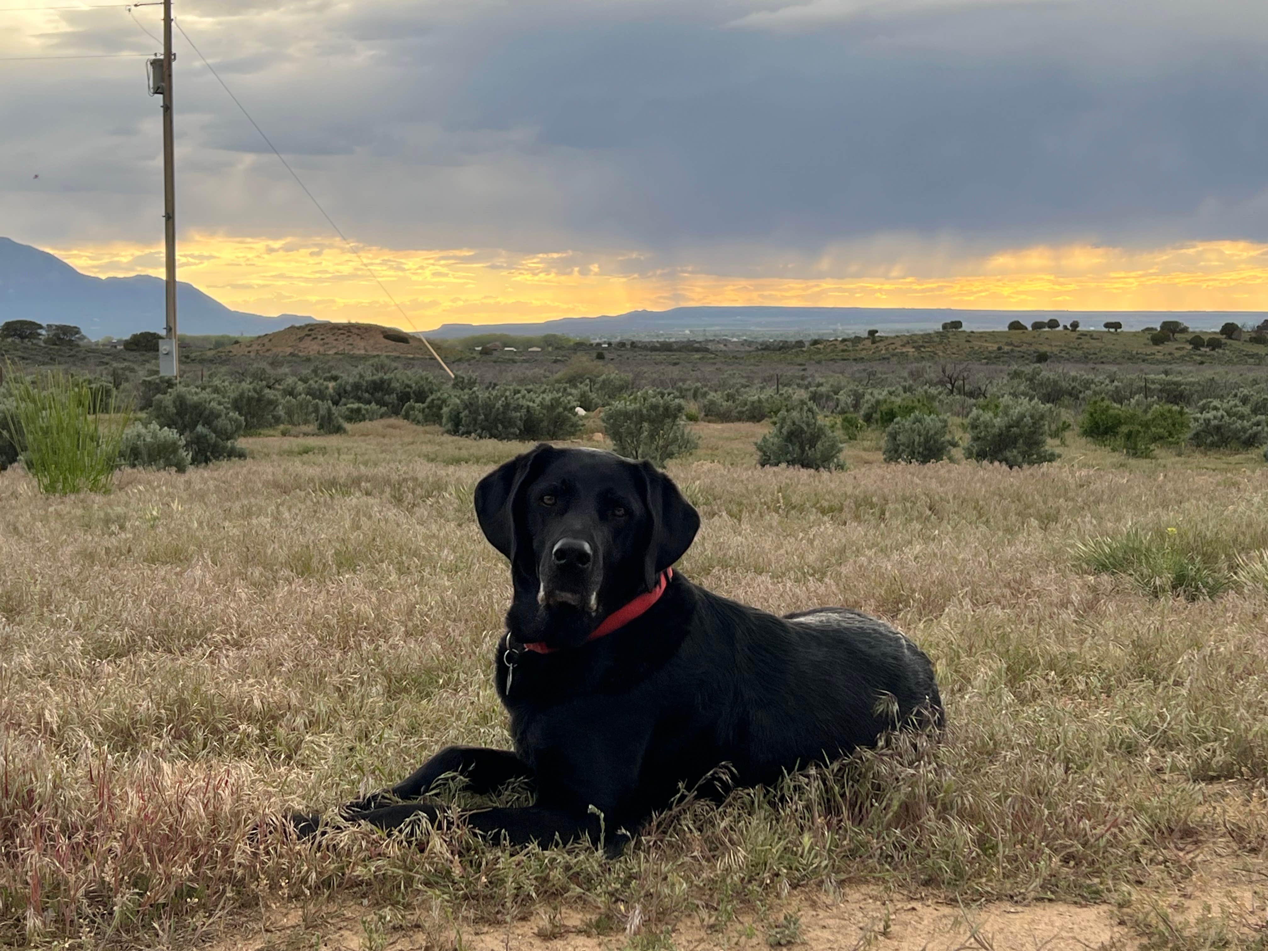 Bright Star Campground | Cortez, CO