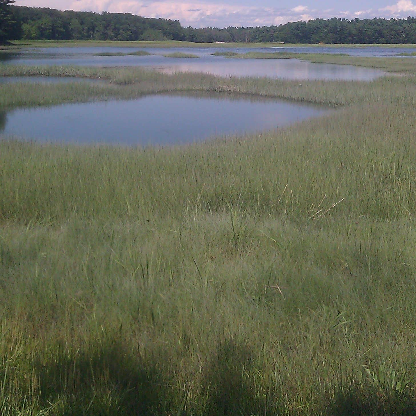 Thomas Point Beach and Campground | Brunswick, Maine