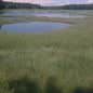Thomas Point Beach and Campground | Brunswick, Maine