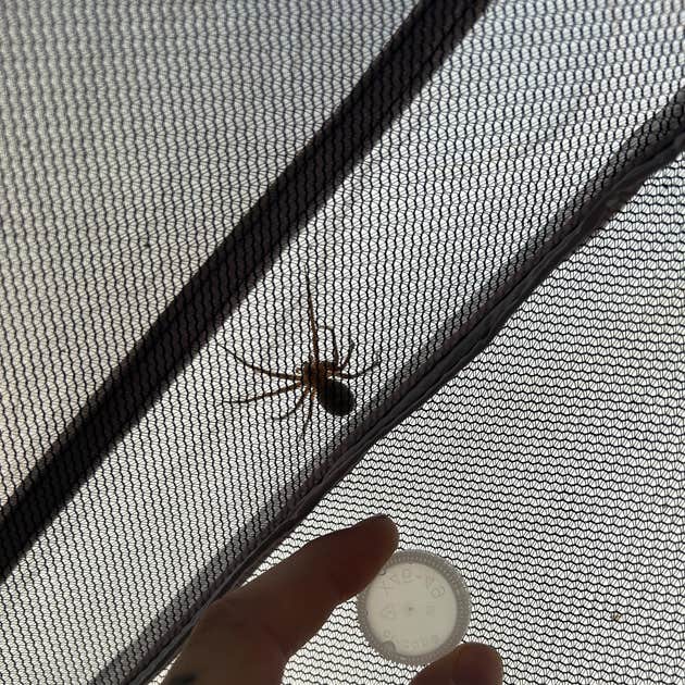 Pittsburg Area Campground — Pomme de Terre State Park | Pittsburg, MO