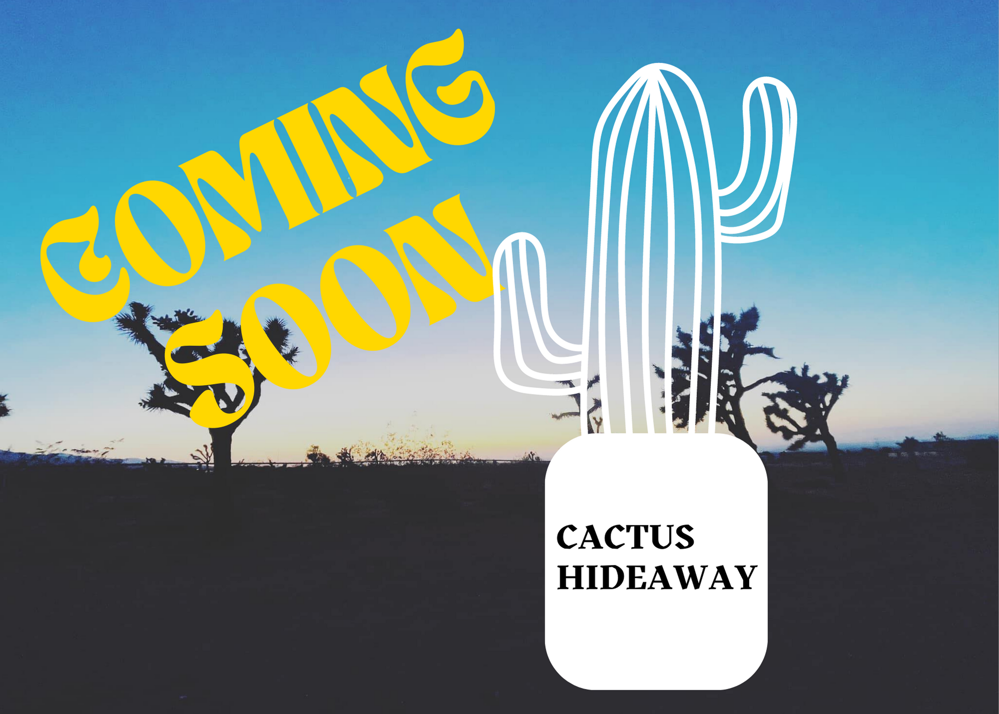 Cactus Hideaway Camping | The Dyrt