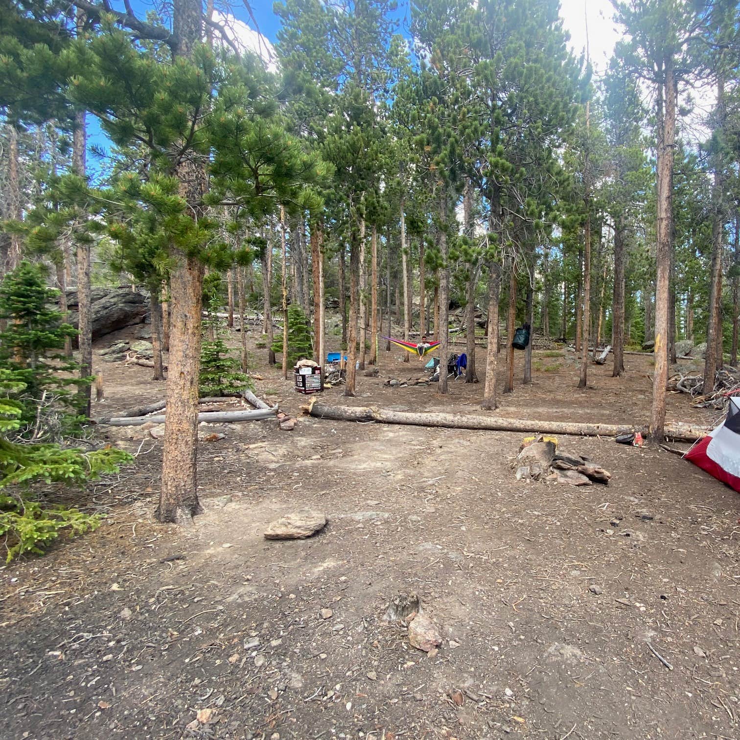 Deadman Road - Dispersed Site Camping | Red Feather Lakes, CO
