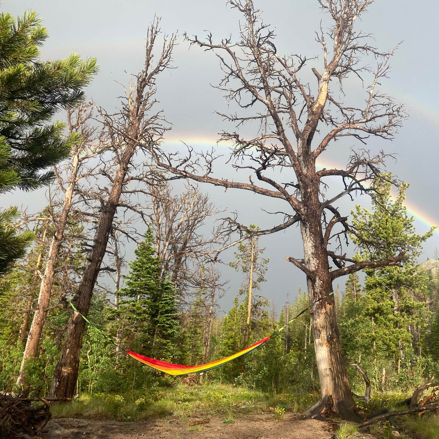 Deadman Road - Dispersed Site Camping | The Dyrt