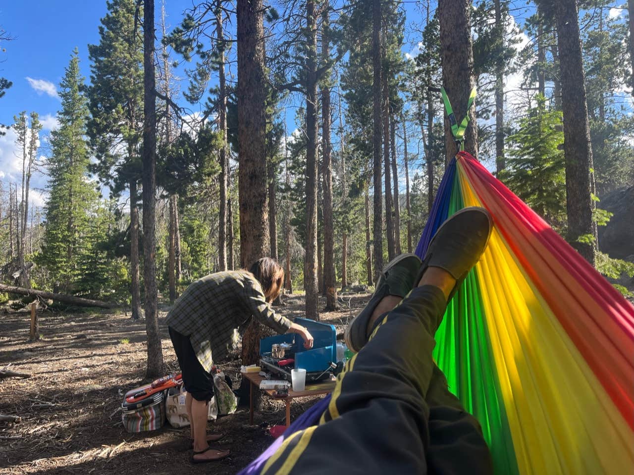 Deadman Road - Dispersed Site Camping | Red Feather Lakes, CO