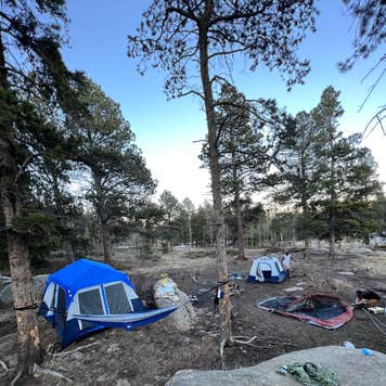 Gordon Gulch Dispersed Area Camping | Nederland, CO