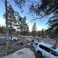 Gordon Gulch Dispersed Area Camping | Nederland, CO
