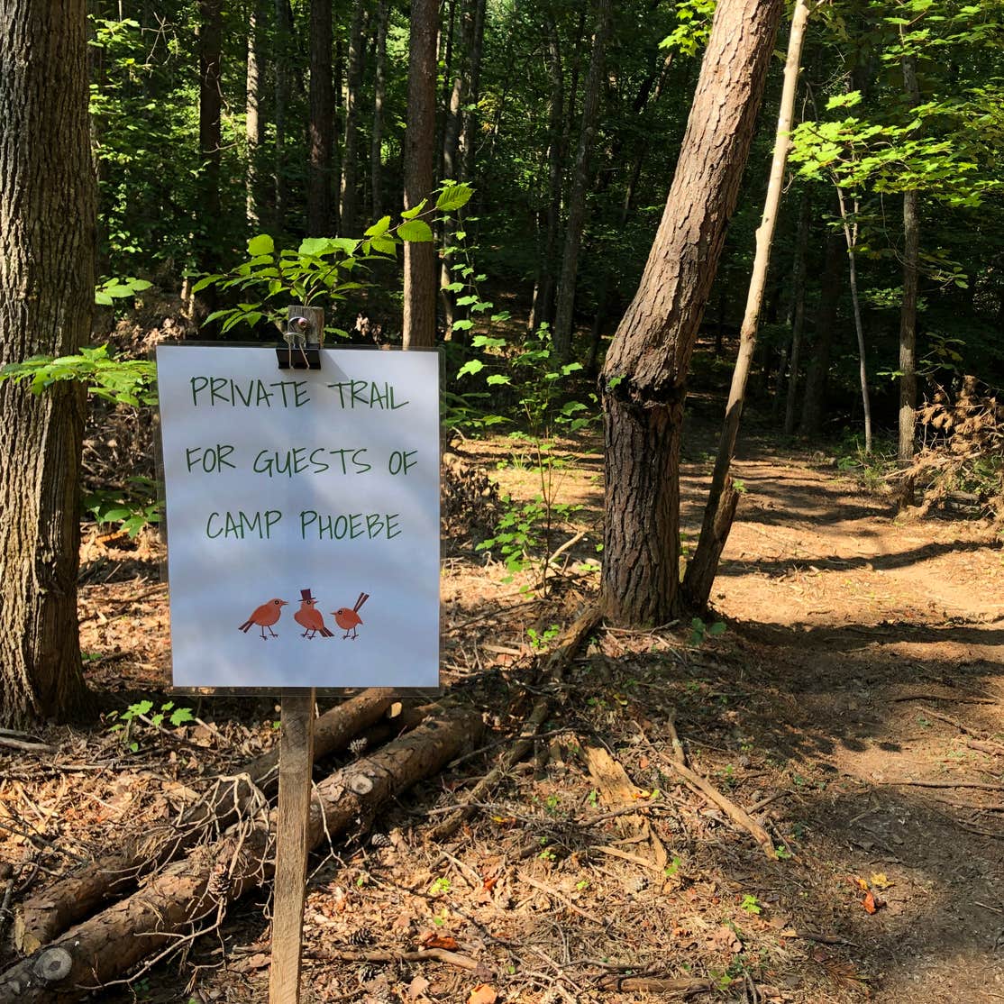 Phantom Hill Forest Farm Camping | Mineral, Virginia