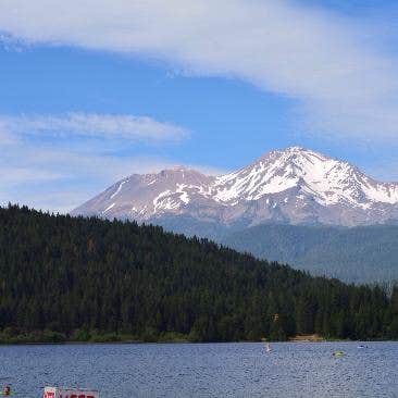 Lake Siskiyou Camp Resort Camping | The Dyrt