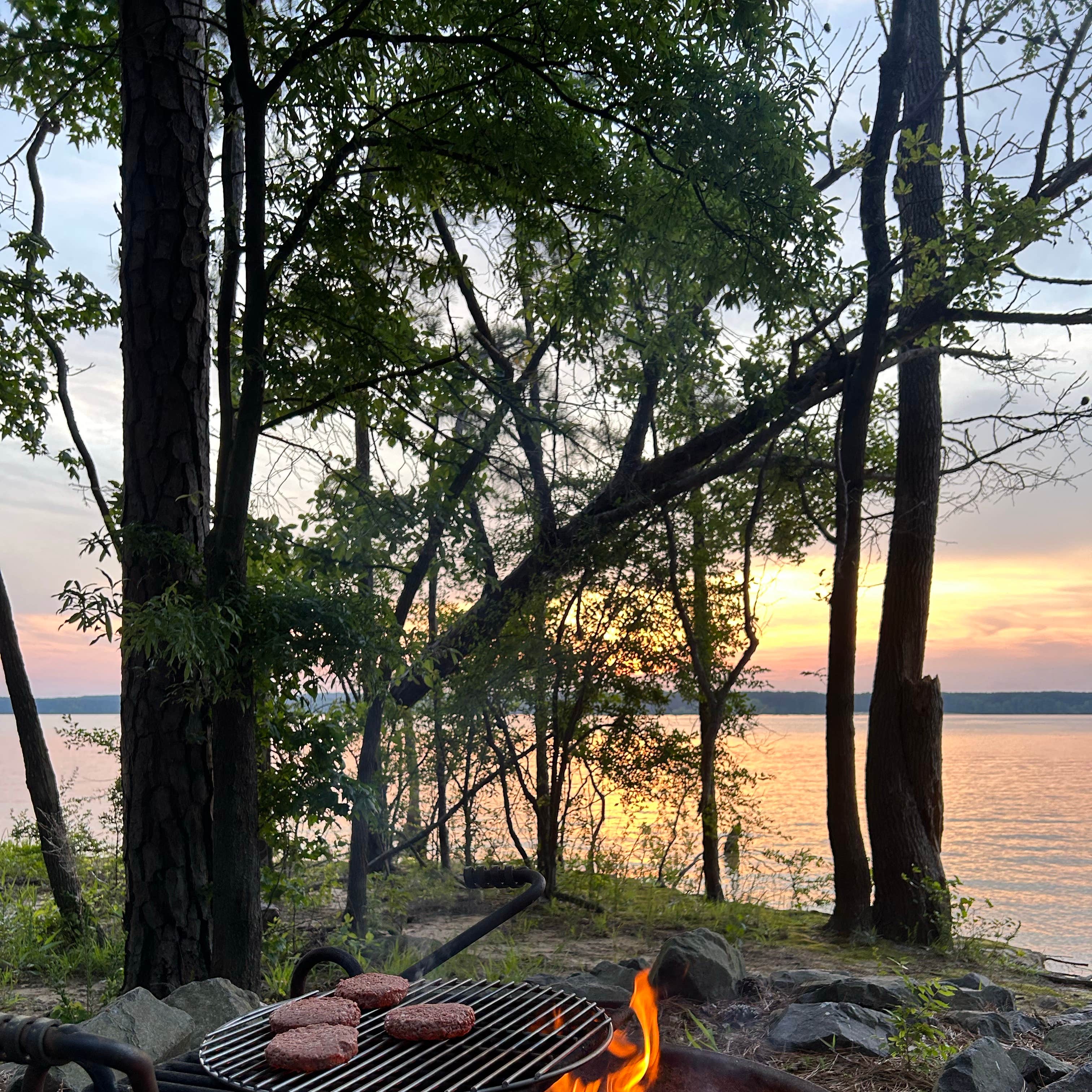 Poplar Point Campground — Jordan Lake State Recreation Area | Apex, NC